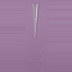 Tips and Pipettes - LP ITALIANA